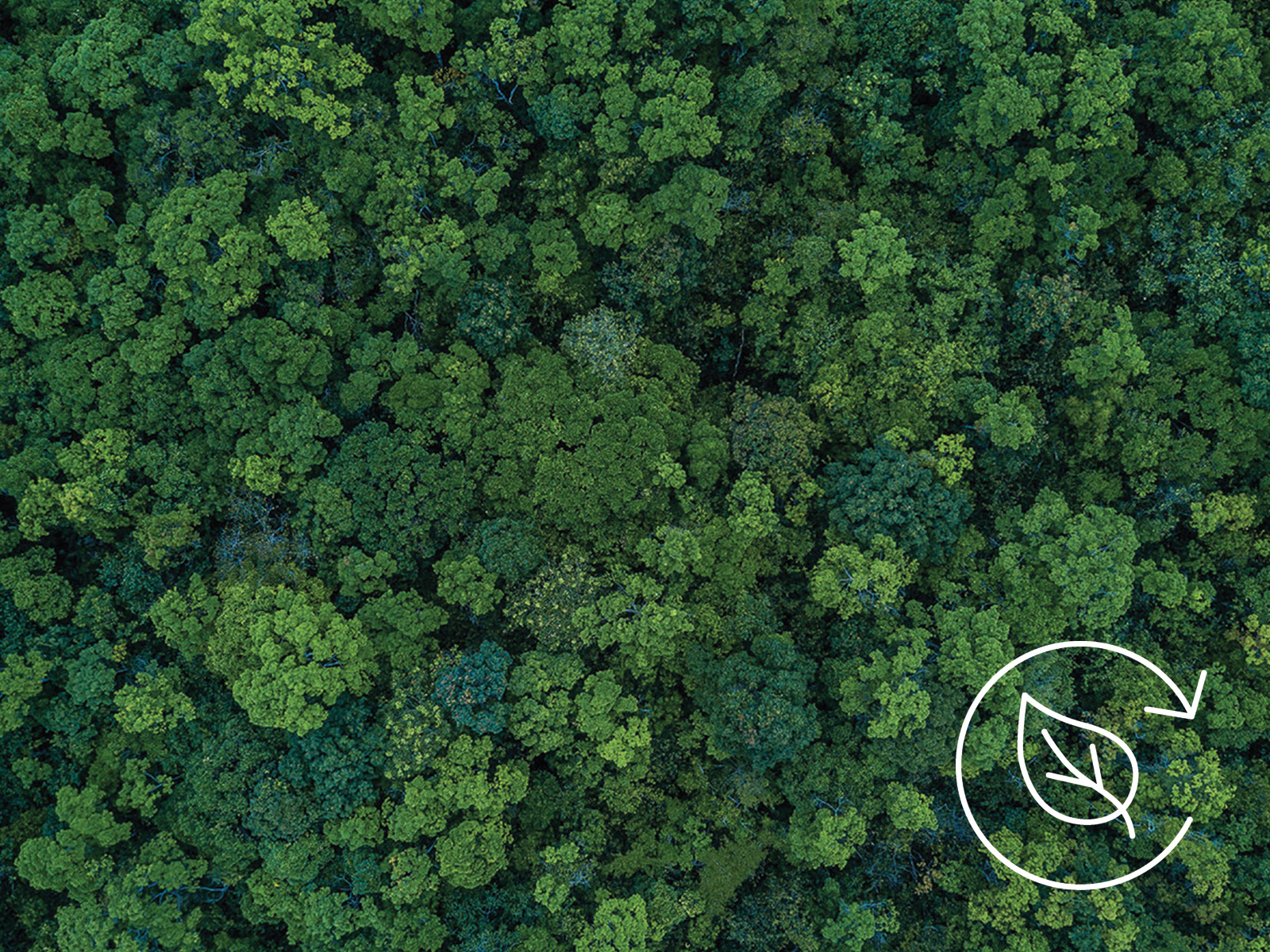 Environmental Performance with QuadCore